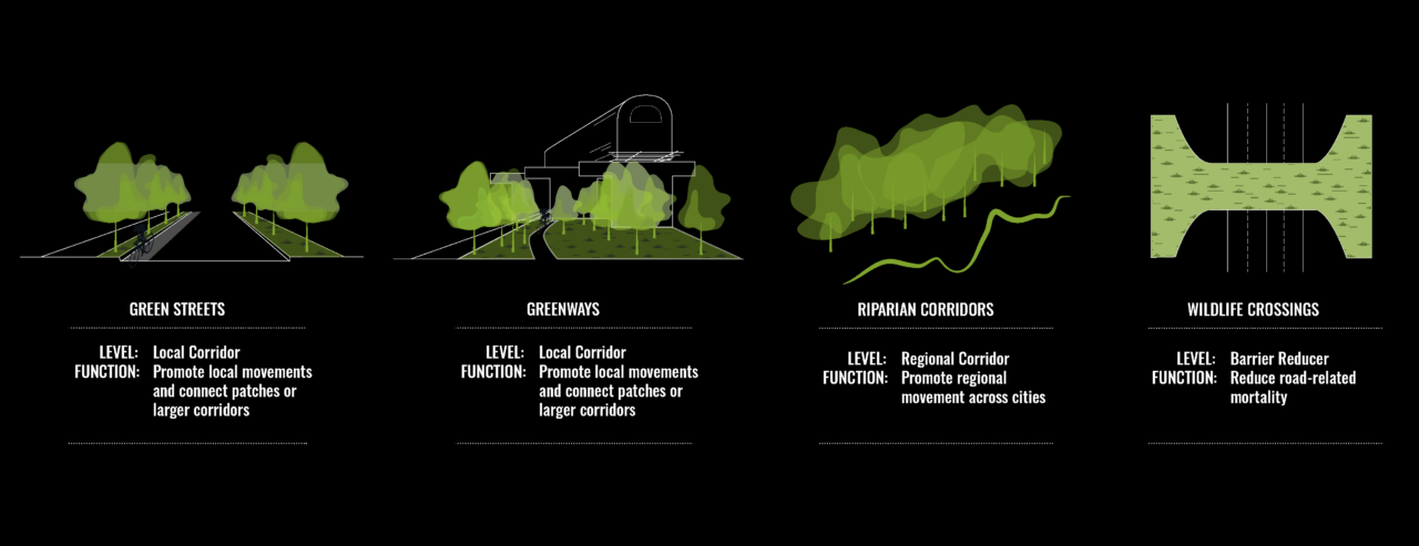 [Biodiversity Science] Connections - Making Nature's City