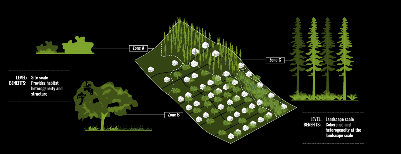 [Biodiversity Science] Habitat Diversity - Making Nature's City