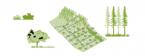 [Biodiversity Science] Habitat Diversity - Making Nature's City
