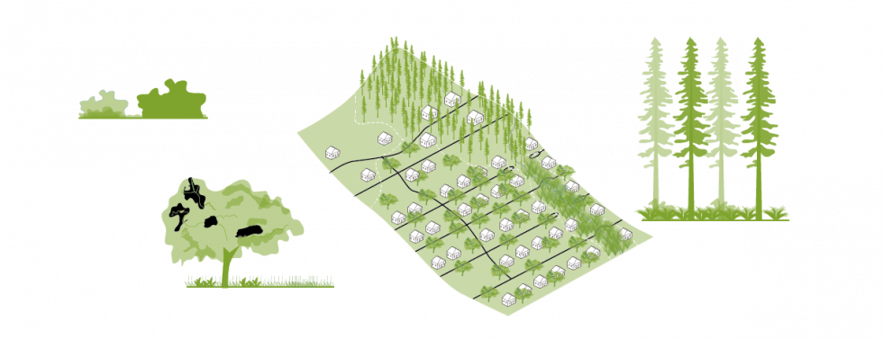 Habitat Diversity - Making Nature's City