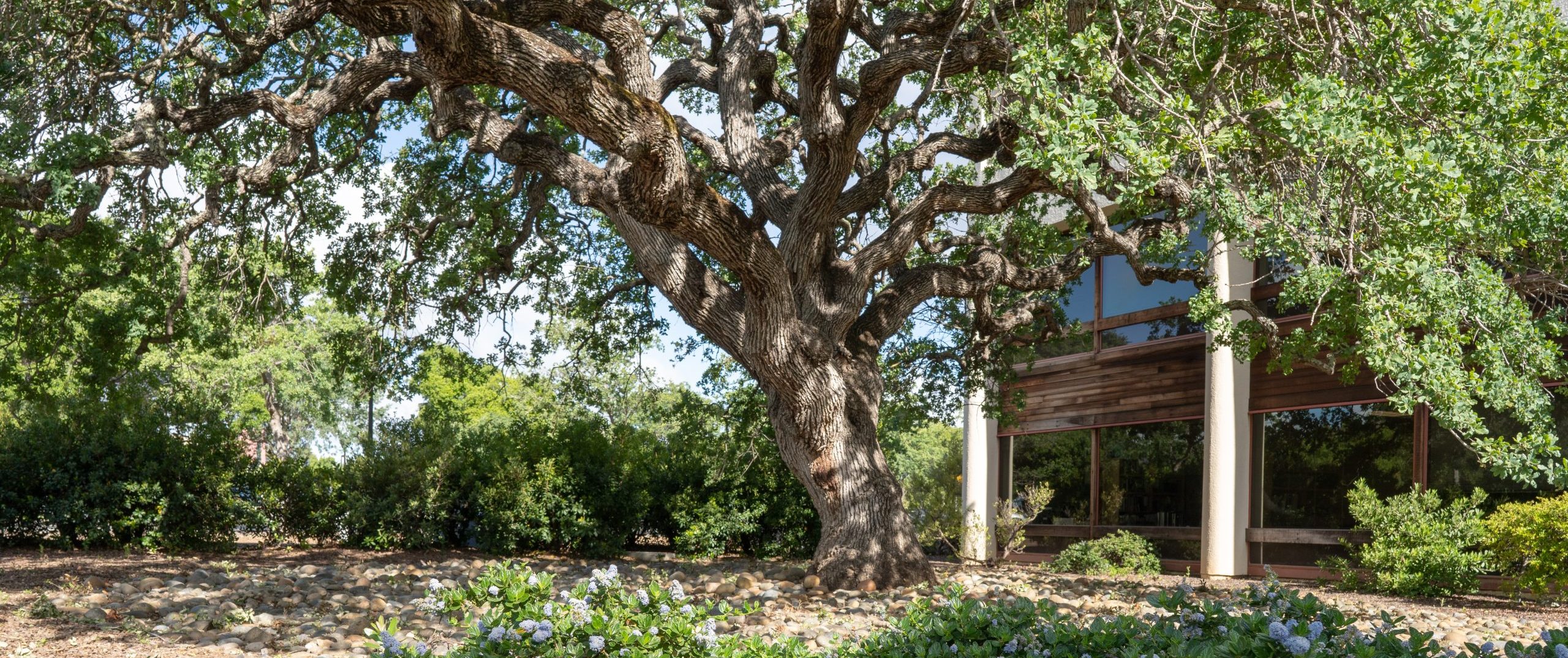 [Site Design] Private Landscapes - Making Nature's City