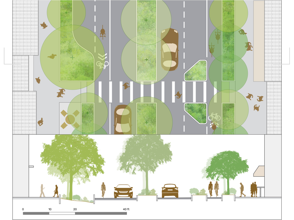 [Site Design] Streetscapes - Making Nature's City