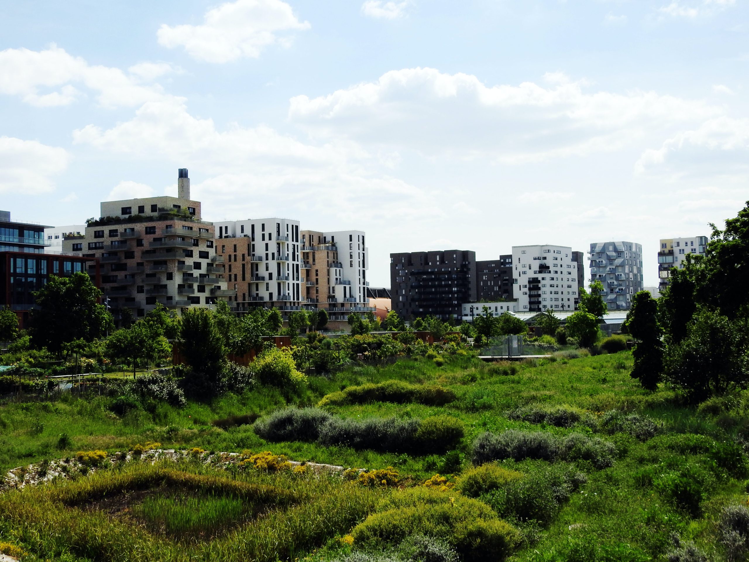 [Planning] Green Urban Fabric - Making Nature's City
